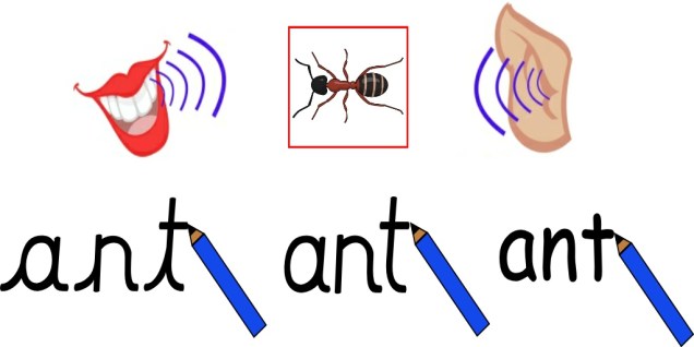 Supporting the teaching of phonics